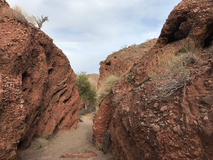 cattail cove state park 4 1