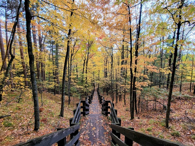Copper Falls State Park 5