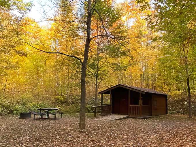 Copper Falls State Park 9