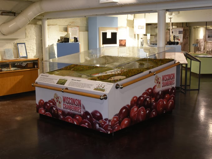 Discovery Cranberries 1