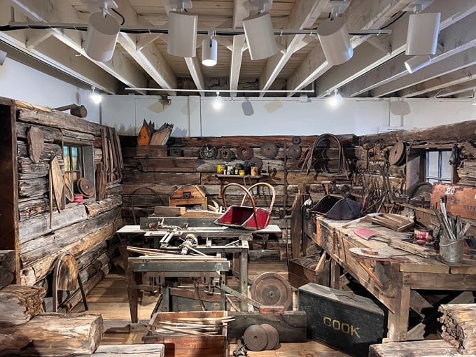 Discovery Cranberries 3