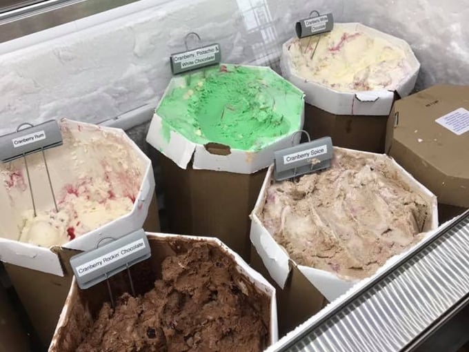 Discovery Cranberries 9