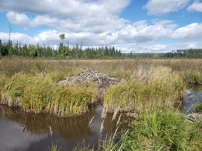 grand portage trail 4