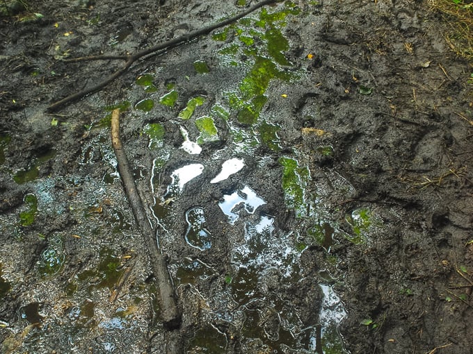 high cliff state park 5