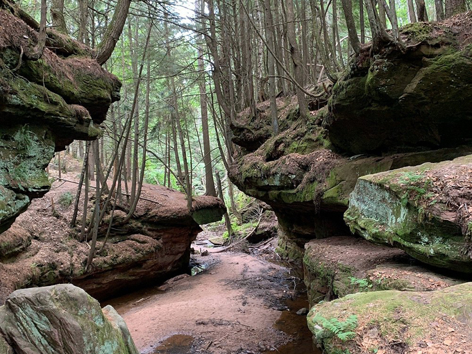 houghton falls natural area 3
