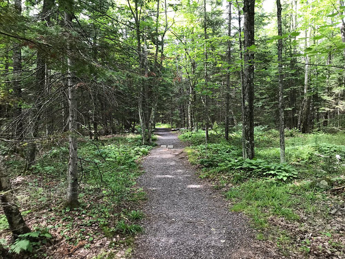 houghton falls natural area 4