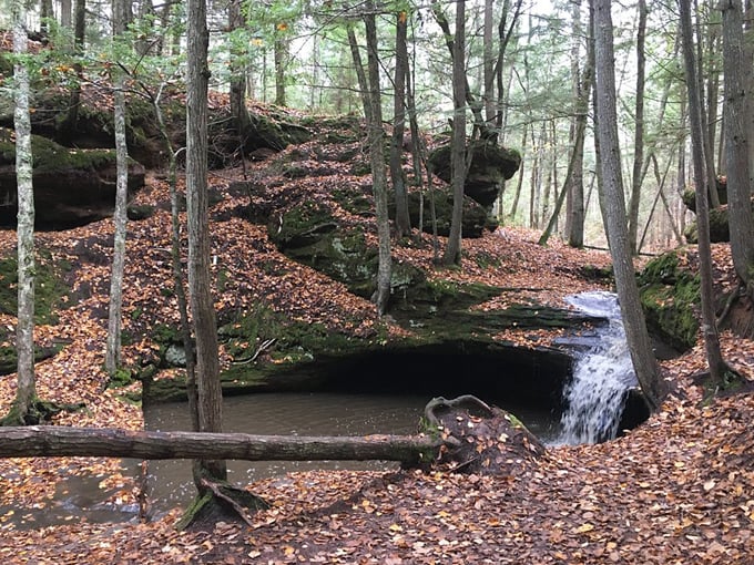 houghton falls natural area 7