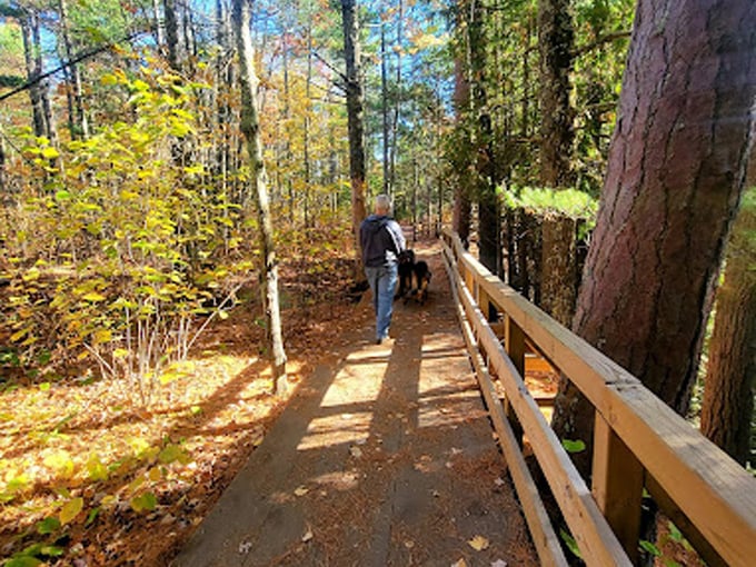 houghton falls natural area 9