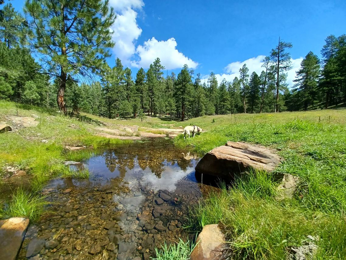 indian maiden falls 1