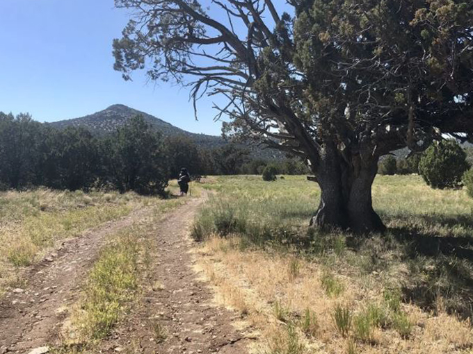 indian maiden falls 2