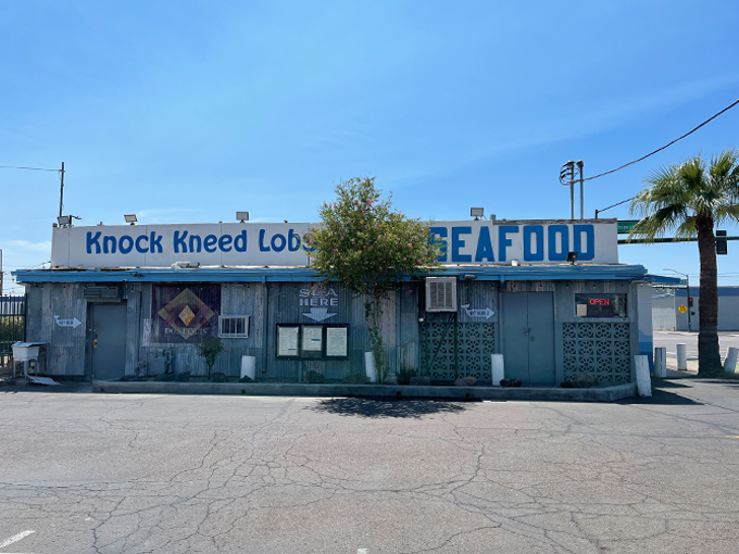 knock kneed lobster 1