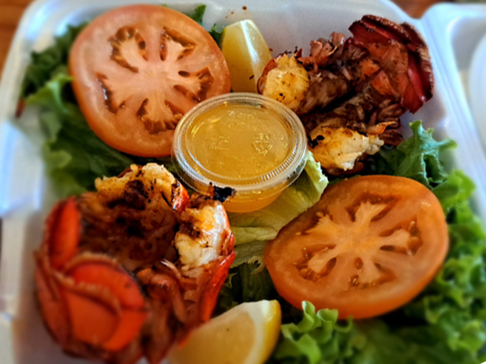 knock kneed lobster 7