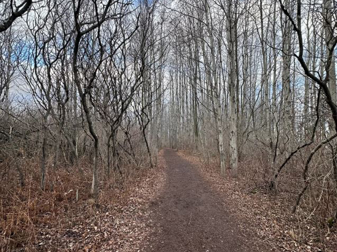 Lion's Den Gorge Nature Preserve 2