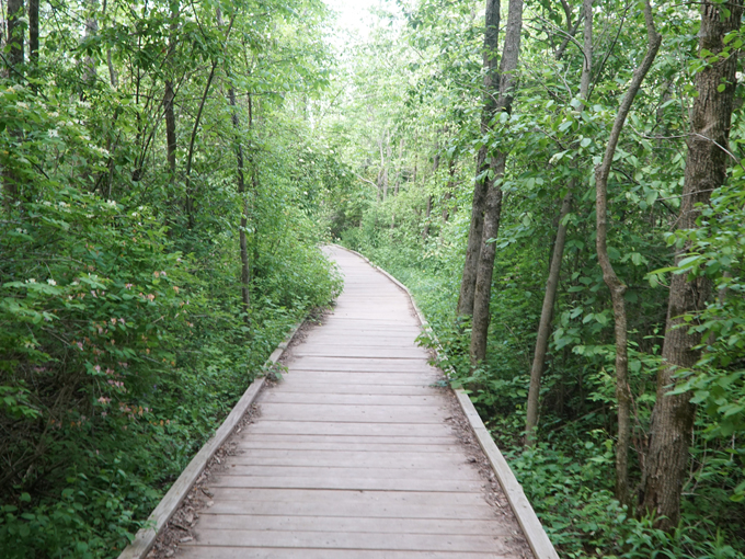 Lion's Den Gorge Nature Preserve 5