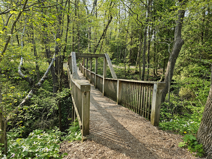 Lion's Den Gorge Nature Preserve 6