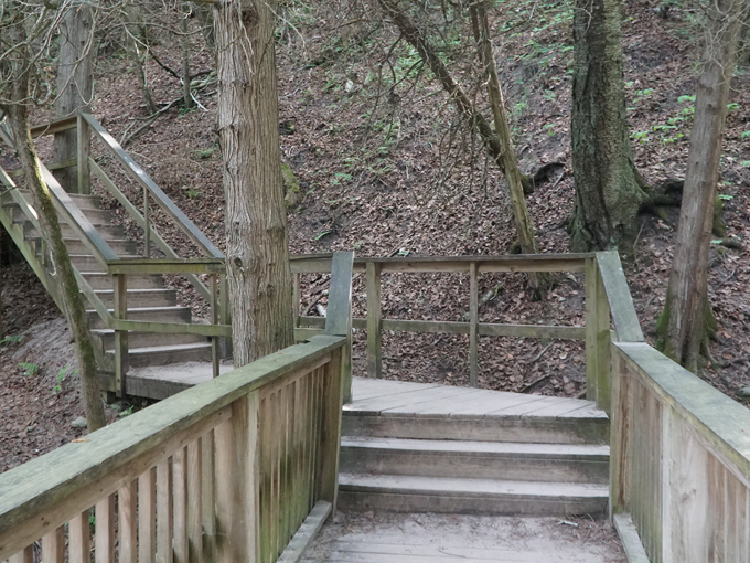 Lion's Den Gorge Nature Preserve 7