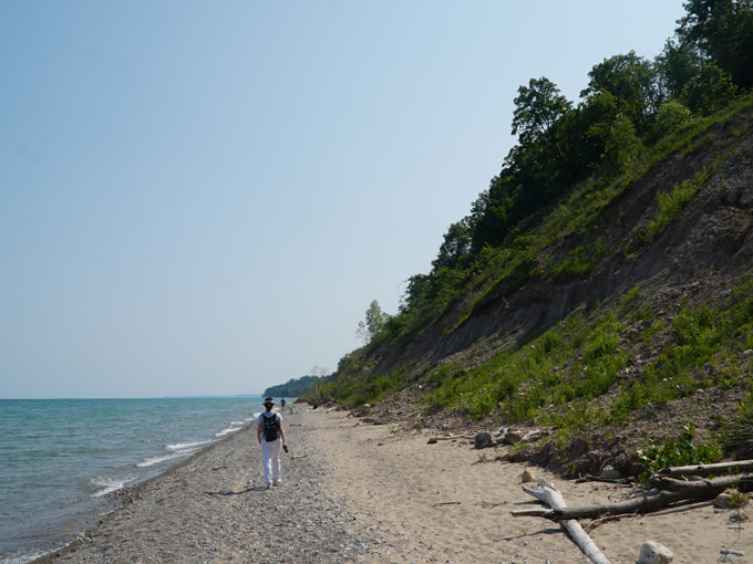Lion's Den Gorge Nature Preserve 8