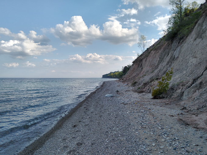 Lion's Den Gorge Nature Preserve 9