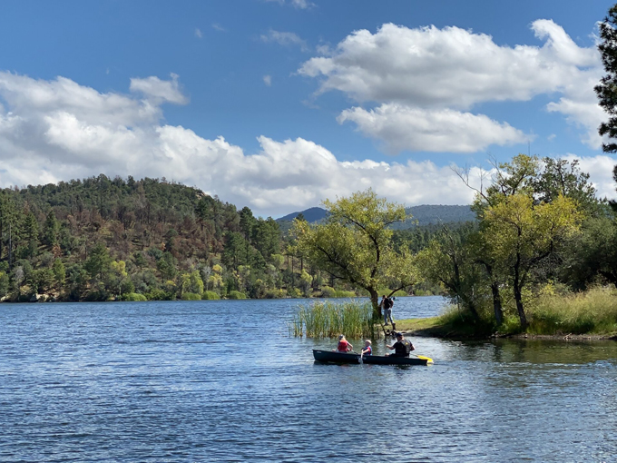 lynx lake az 8