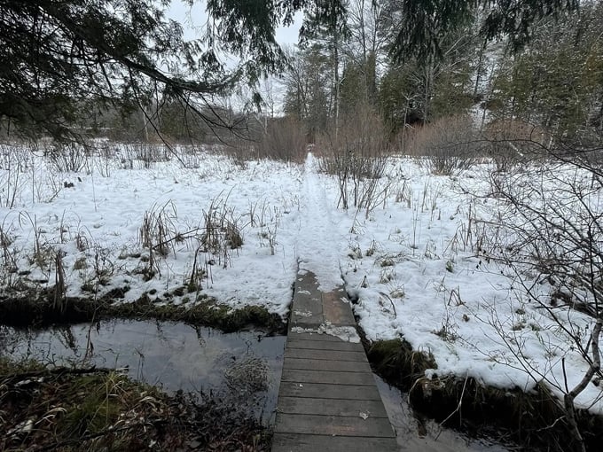 manistee river trail 2 1