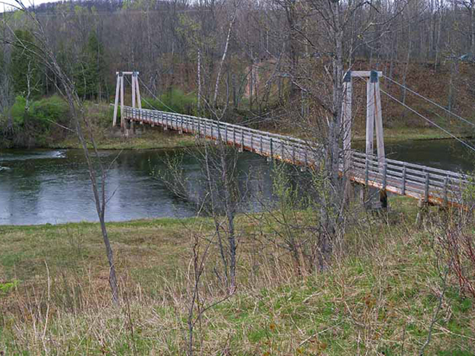 Manistee River Trail 3