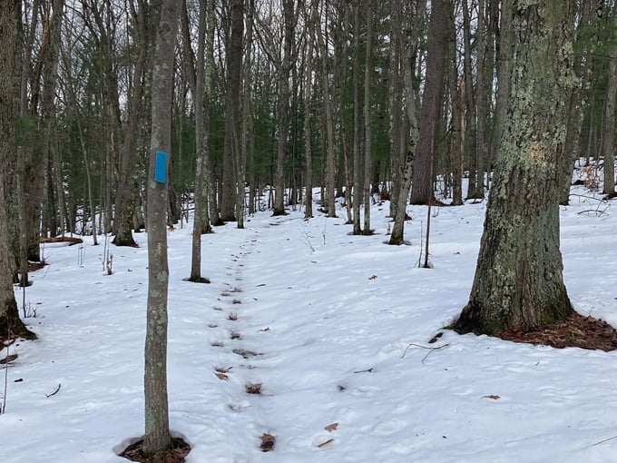 manistee river trail 4 1