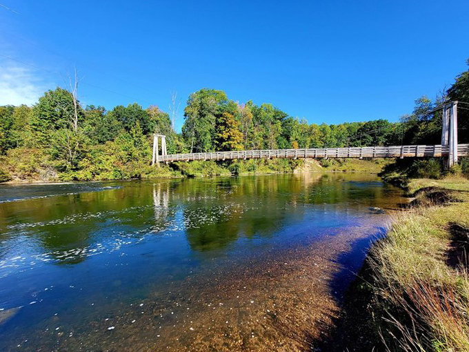 Manistee River Trail 5