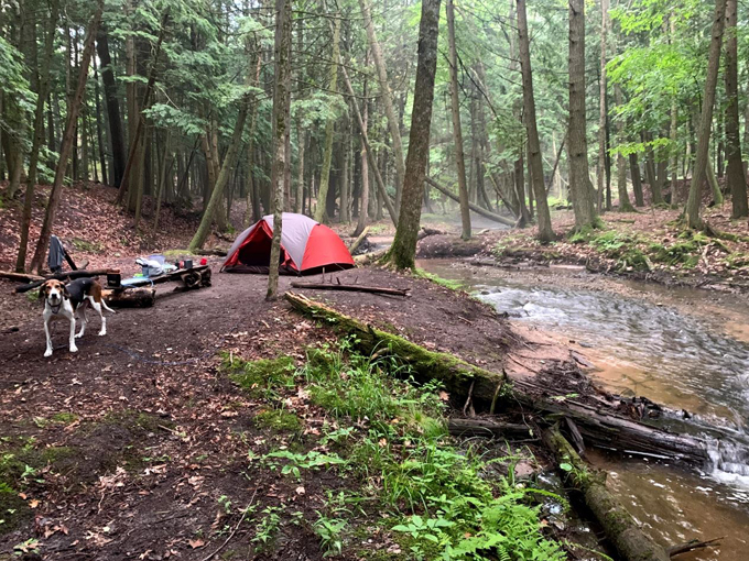 Manistee River Trail 6