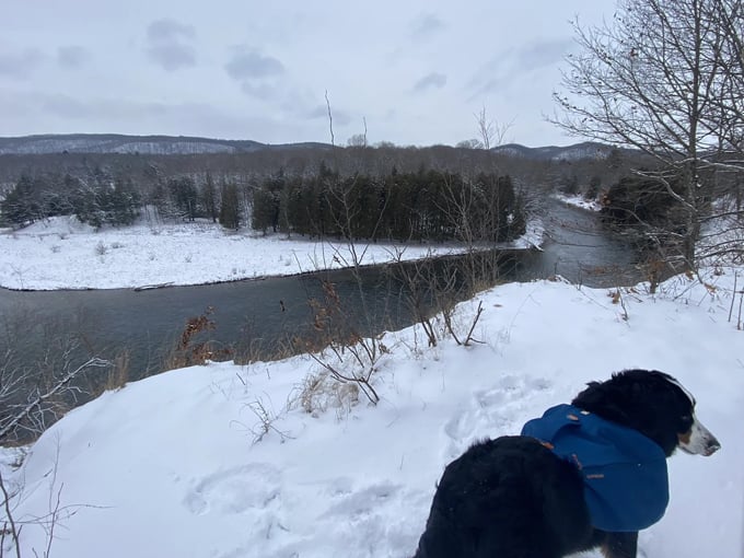 manistee river trail 7 1