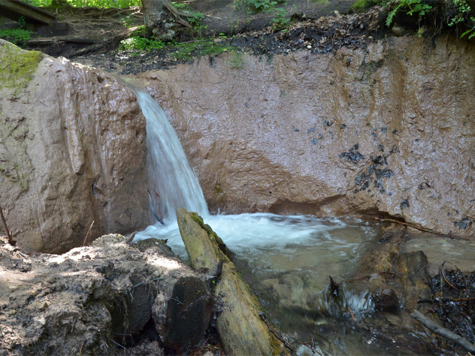 Manistee River Trail 7