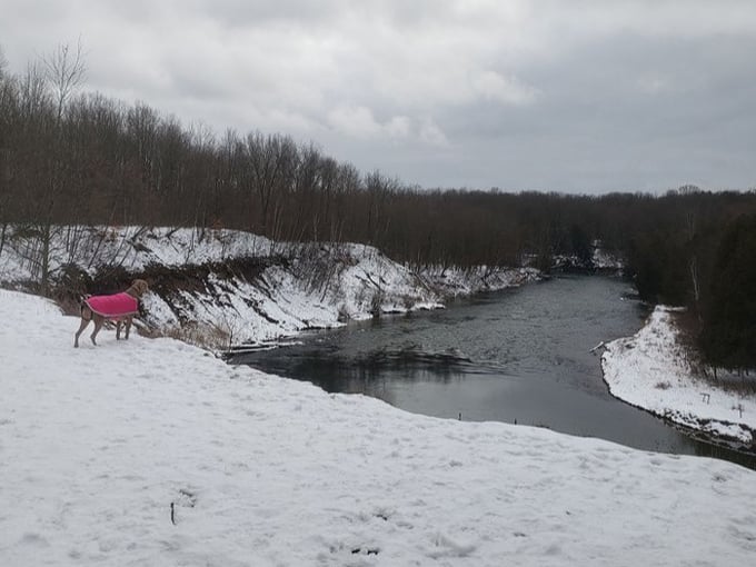manistee river trail 8 1