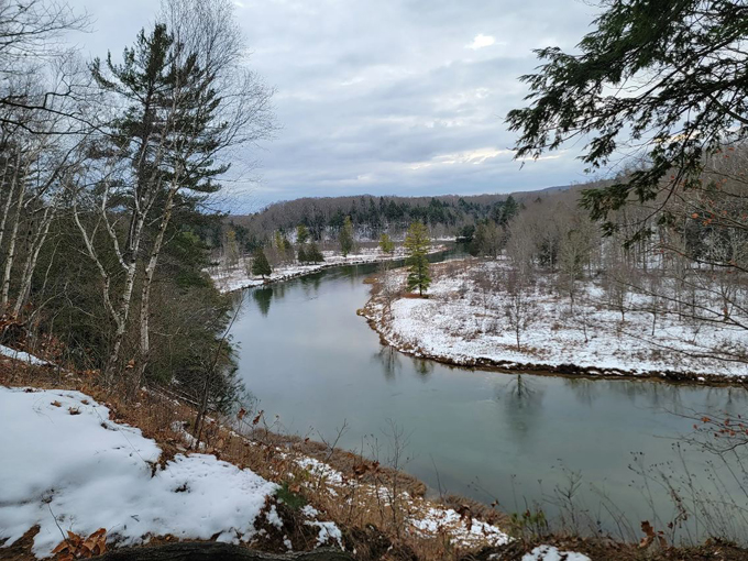 Manistee River Trail 8