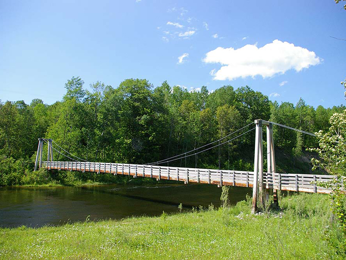 Manistee River Trail 9