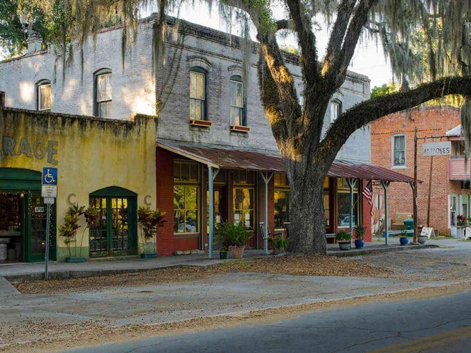 micanopy 9