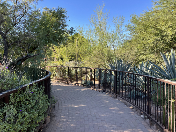 musical instrument museum 6