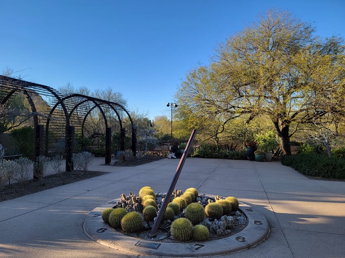 musical instrument museum 7