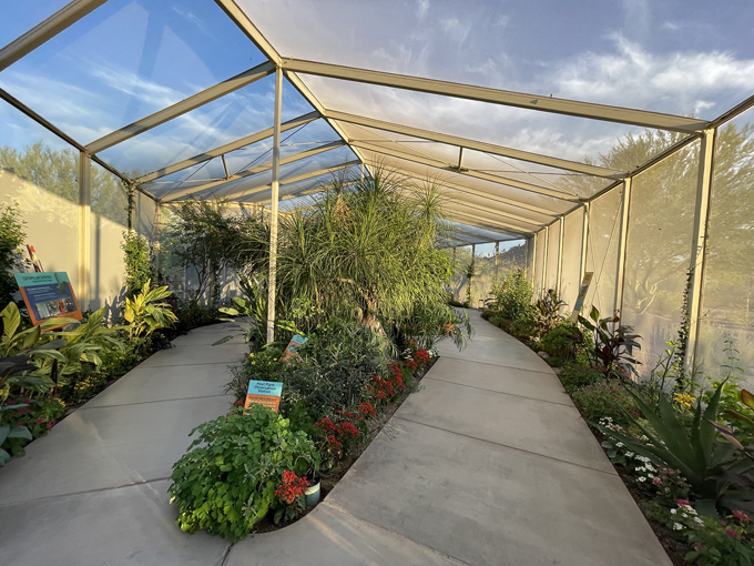 musical instrument museum 9