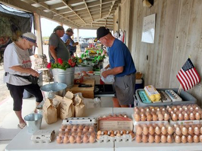 Neely&rsquo;s Korner 5