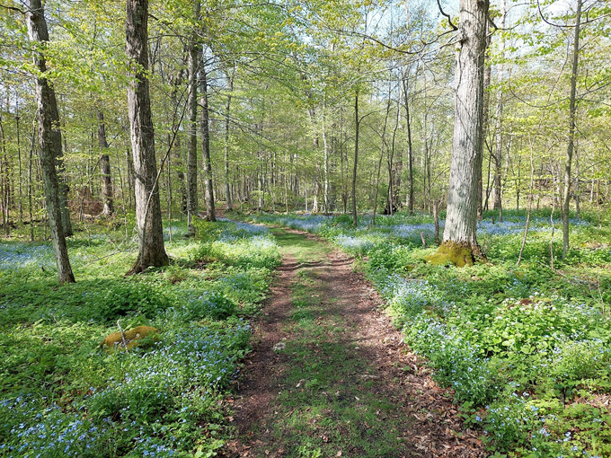 newport state park 2