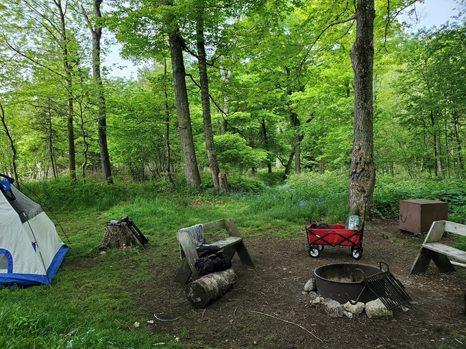 newport state park 7