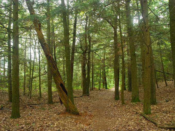 newport state park 9