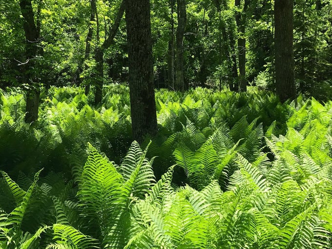 newport state park 9