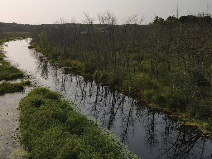 paradise springs nature area 3