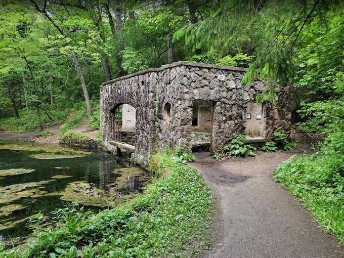 paradise springs nature area 6