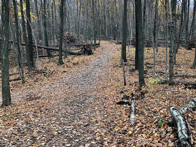 paradise springs nature area 8