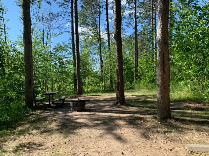 pillsbury state forest 4