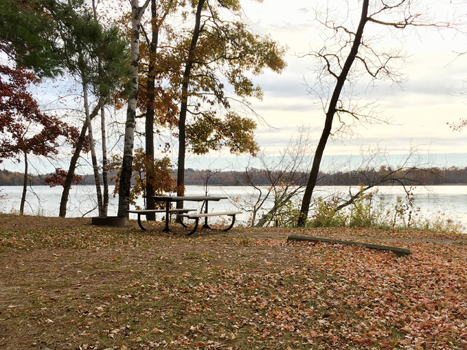pillsbury state forest 8
