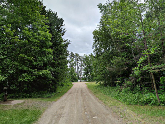 pillsbury state forest 9