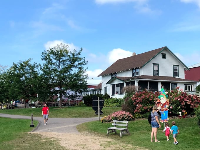 pine tree apple orchard 2