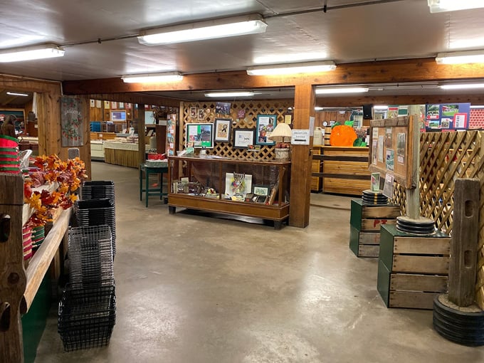 pine tree apple orchard 6